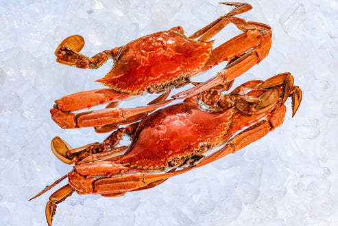 Product of Australia Min (500g) Blue Swimmer Crabs are known for their ...