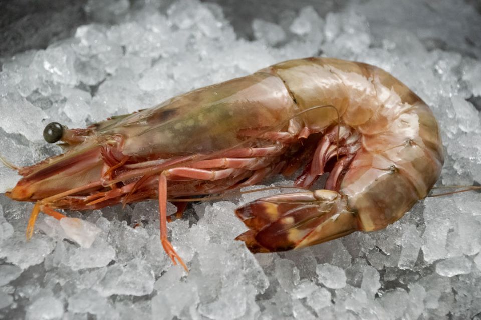 Product Of Australia Min (500g) Green Tiger prawns are prized for their ...