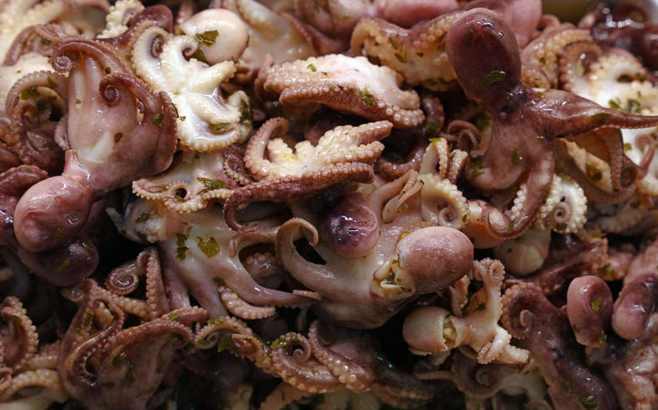 Our Marinated Baby Octopus are ready to be cooked. They have been pre ...