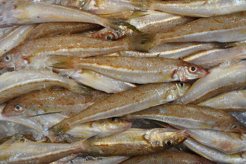 Product Of Australia Min (1kg) The flesh of Eastern School Whiting is ...