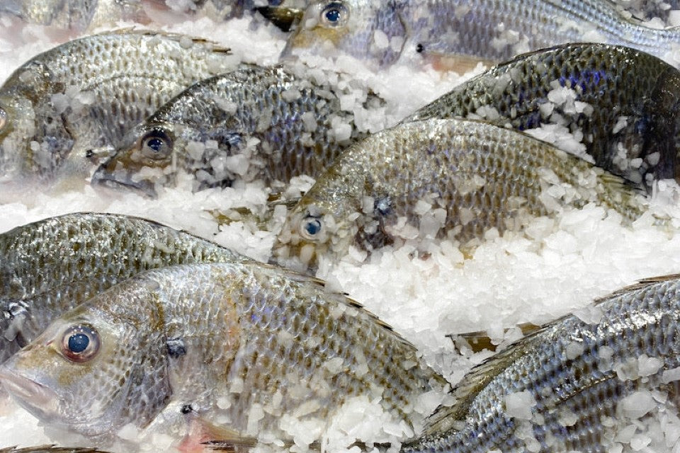 Product of Australia Min (1kg) Silver Bream is known for its tender and ...