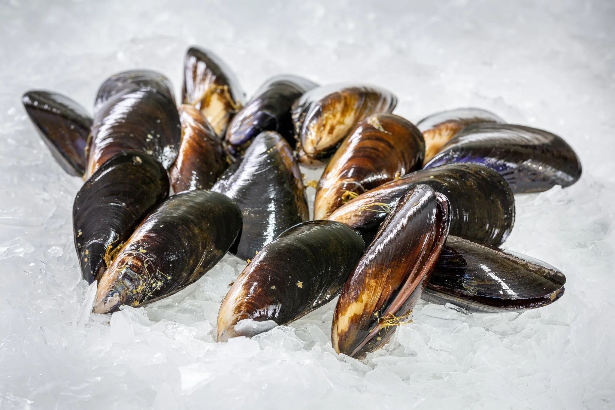 Product Of Australia Min (1kg) Spring Bay mussels are celebrated for ...