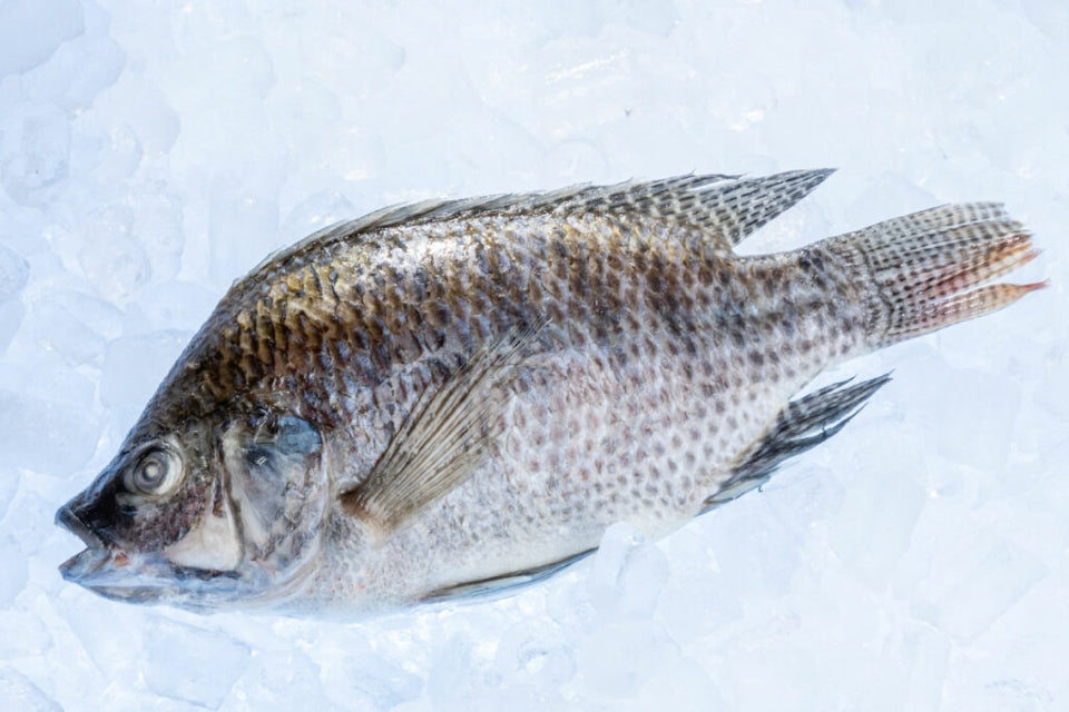 Product Of Taiwan Tilapia has firm, white, and flaky flesh. The meat is ...